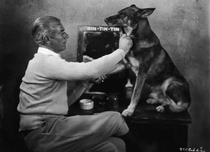 Rin Tin Tin