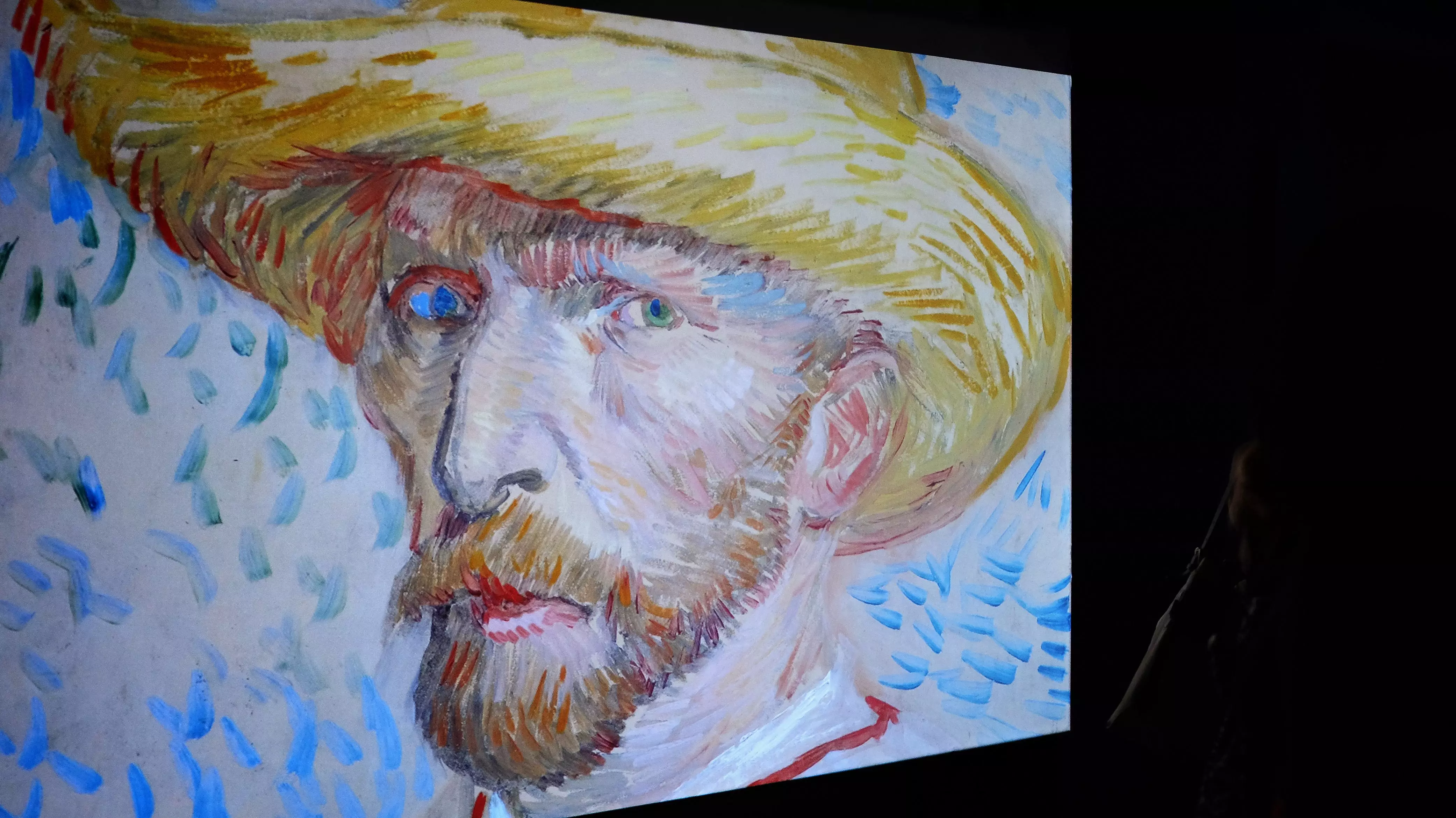 9 feite oor Vincent van Gogh