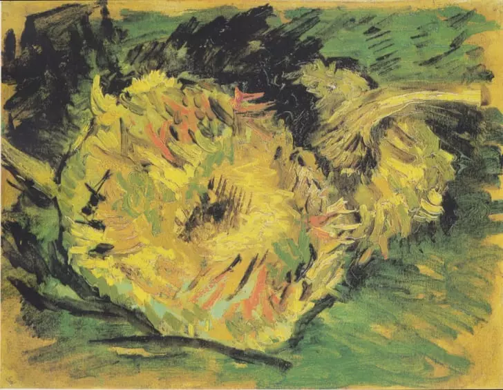 15 fapte despre floarea soarelui lui Vincent van Gogh 1084_3