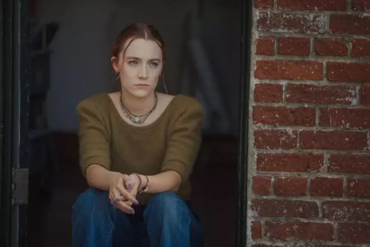 10 Fakta Mengejutkan Tentang Lady Bird 11040_3