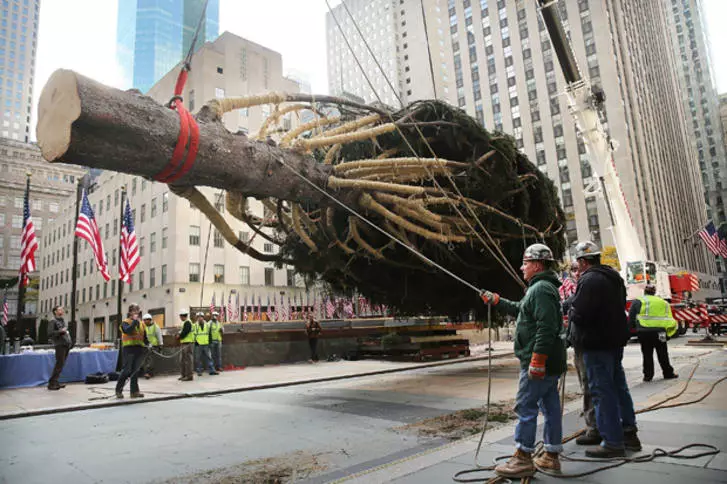 11 fatos inspiradores sobre a árvore de Natal do Rockefeller Center 11305_2