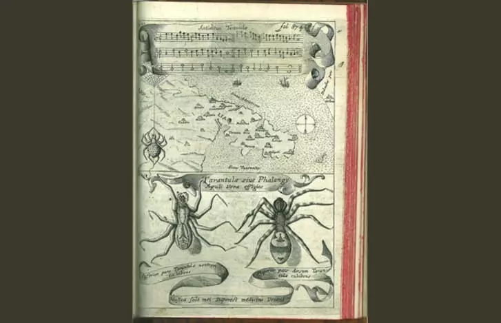 11 marabillosos Wunderkammer ou gabinetes de curiosidades 11898_11