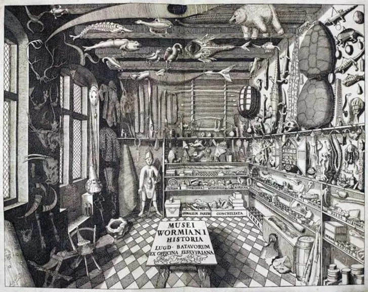 11 marabillosos Wunderkammer ou gabinetes de curiosidades 11898_4