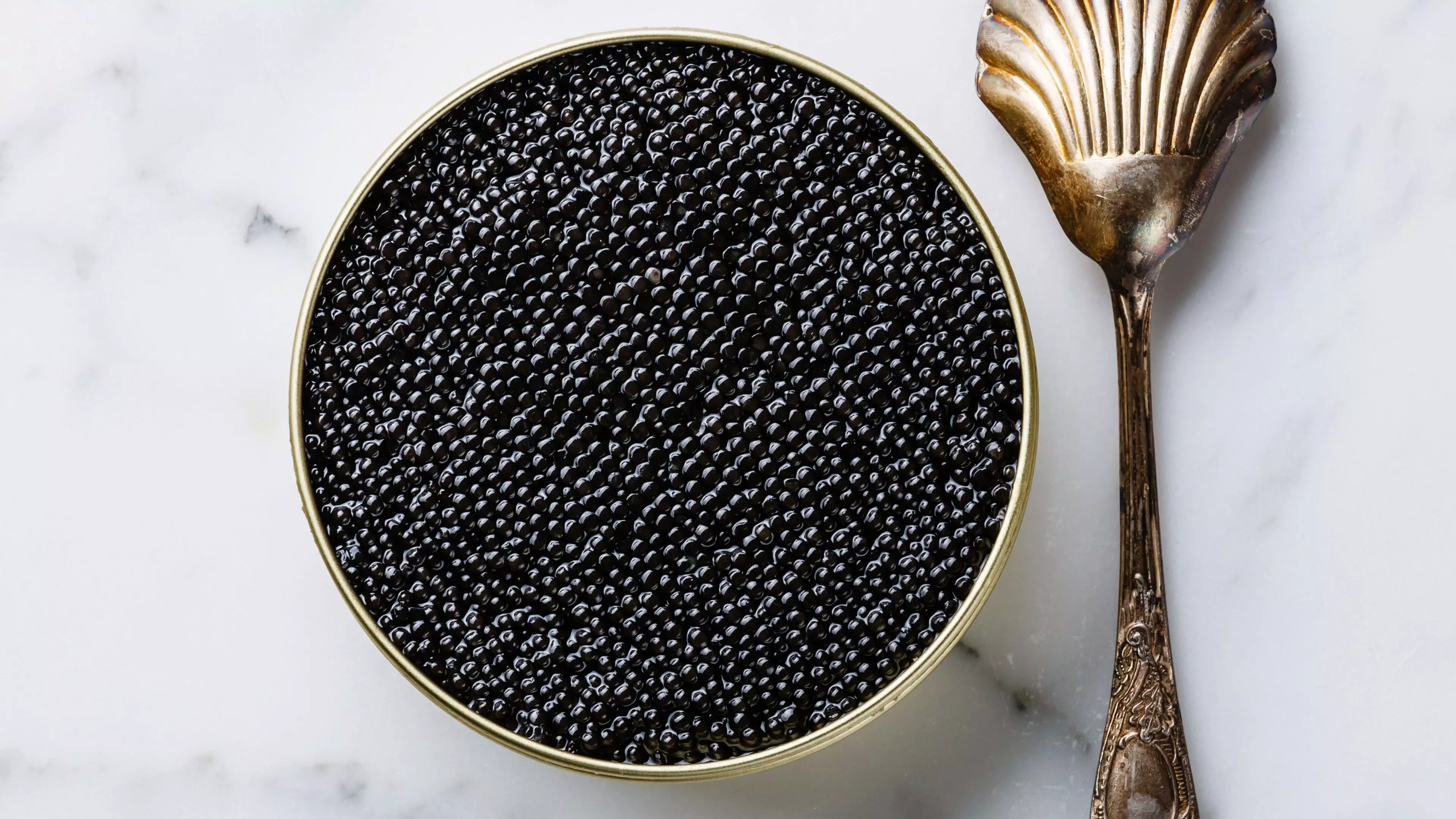 Les gens mangent du caviar depuis l'âge de pierre