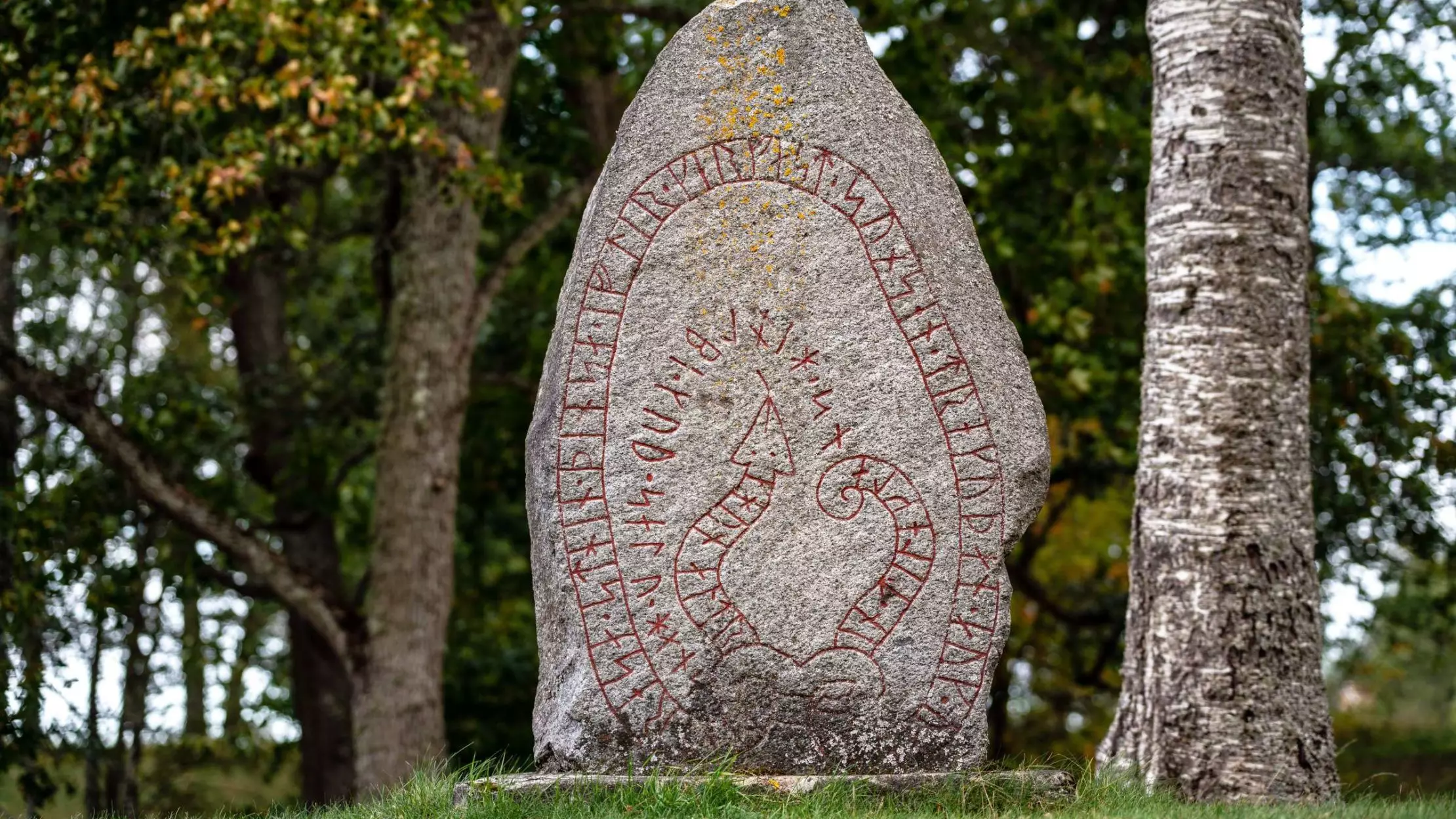 Viking Runestones အဖြစ်မှန်များ