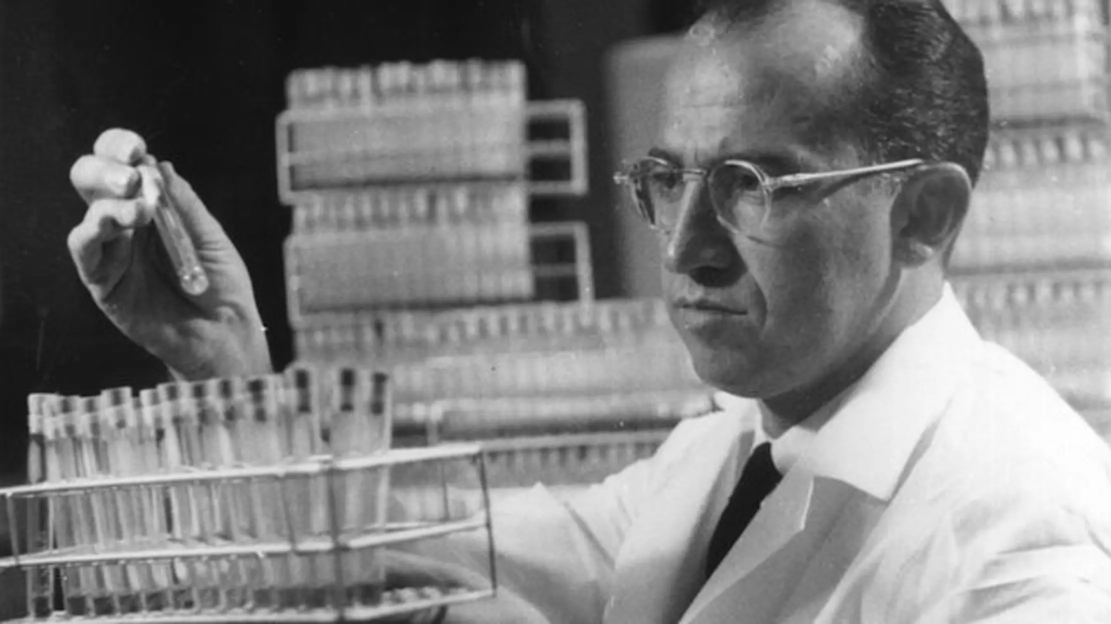 Jonas Salk Hakkında 12 Zararsız Gerçek