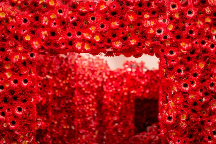 A nova instalação cheia de flores de Yayoi Kusama tem amantes da arte vendo vermelho 12779_2