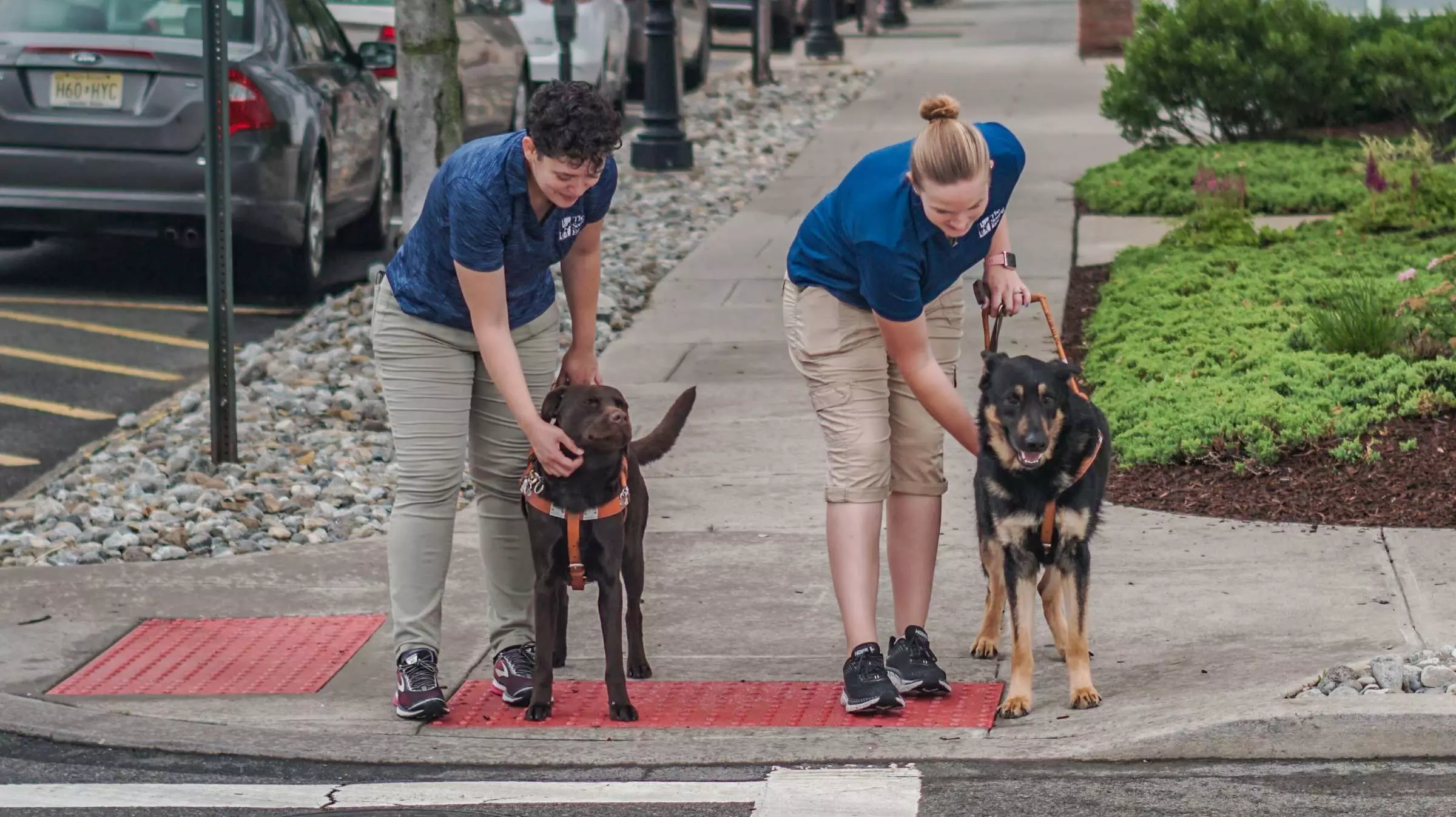 Seeing Eye Dog Trainer Secrets