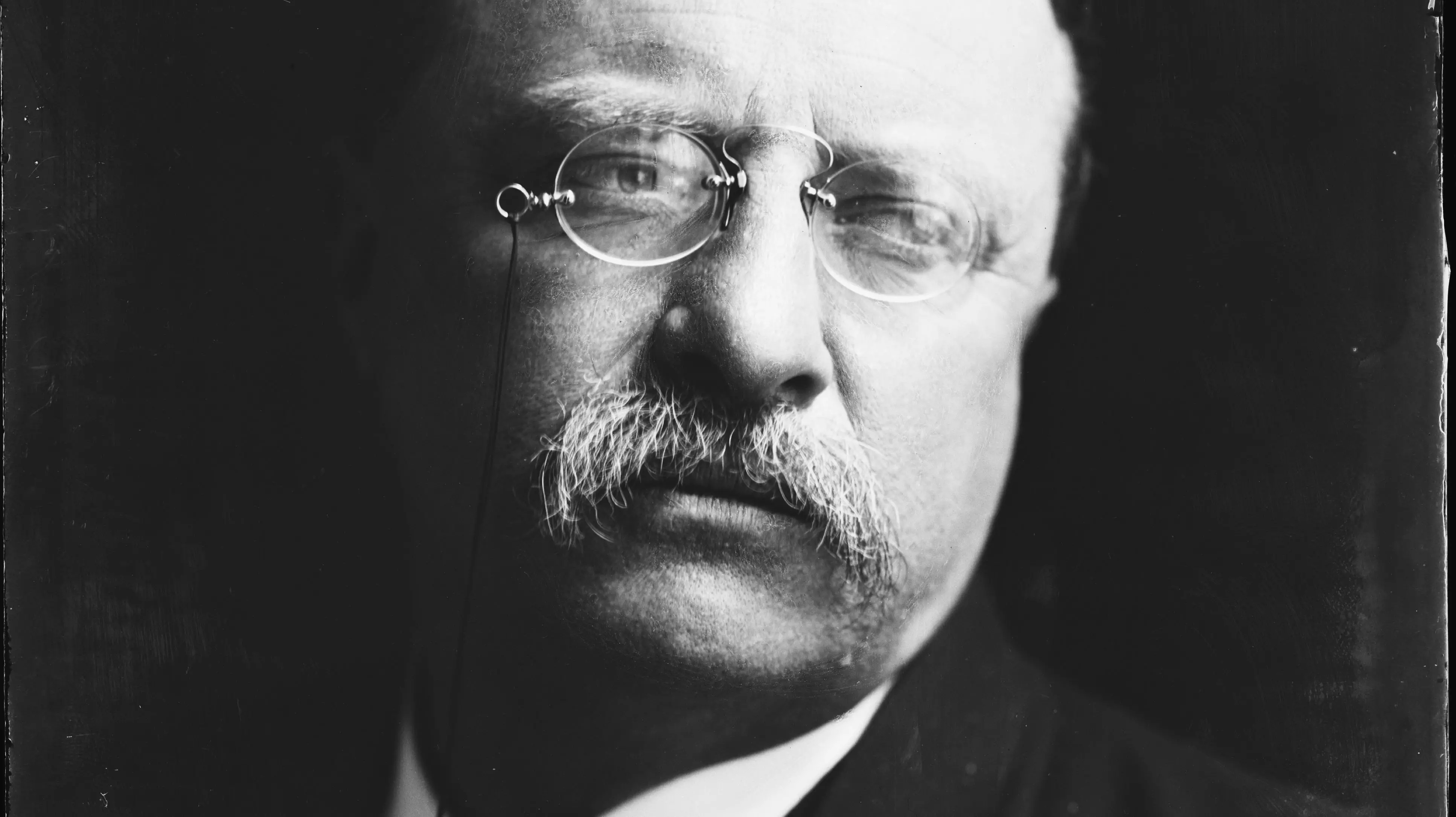 16 Savage Teddy Roosevelt móðgun