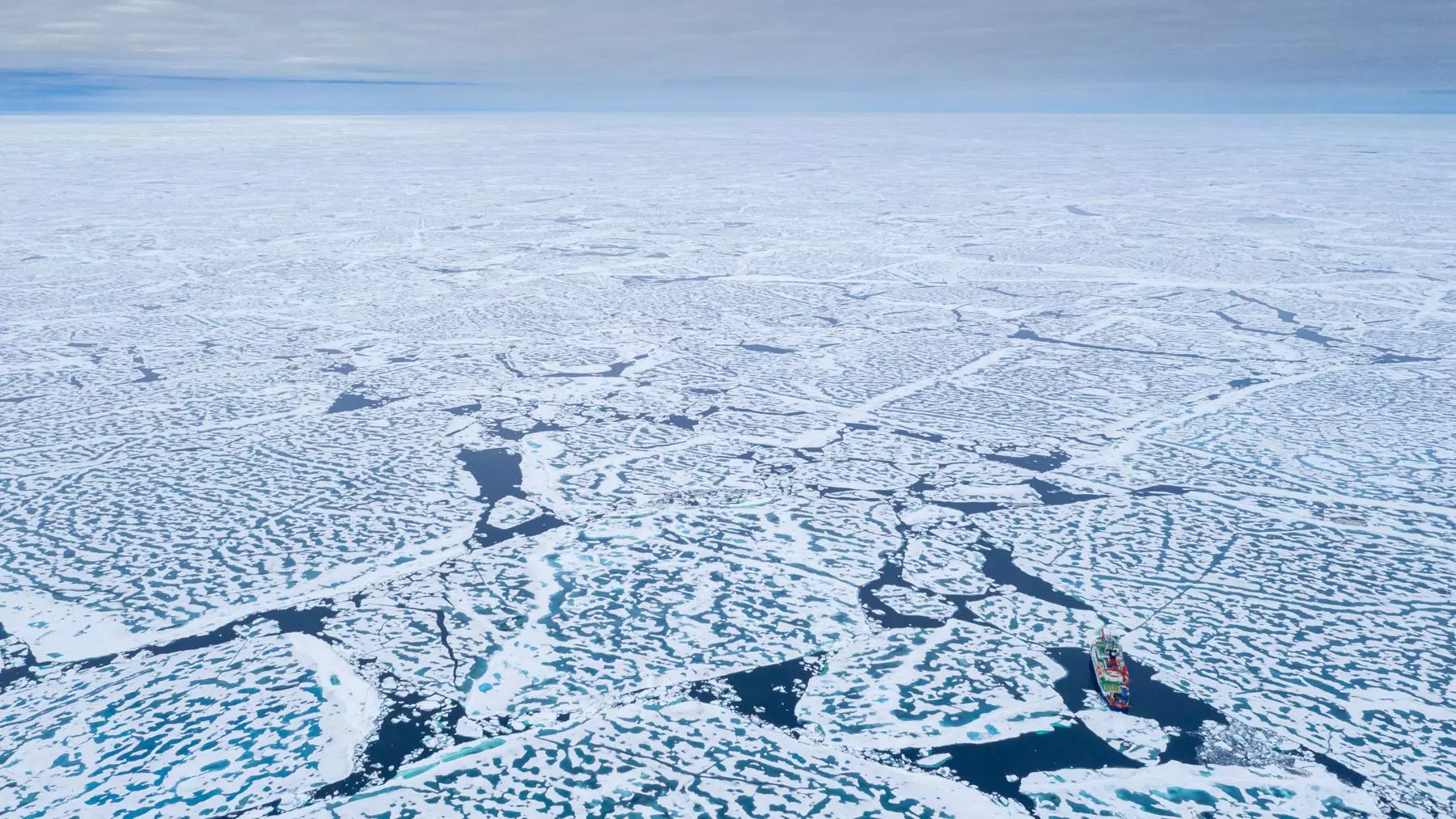 11 Fatti affascinanti del Polo Nord