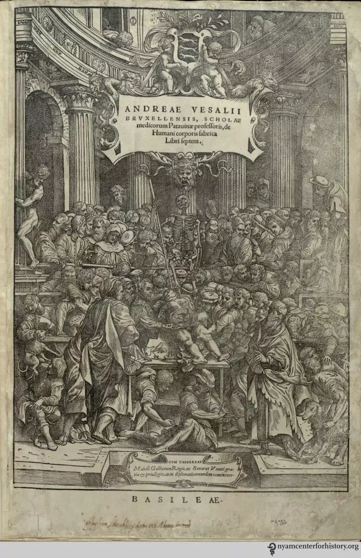 10 fjársjóðir frá New York Academy of Medicine Library 14588_1