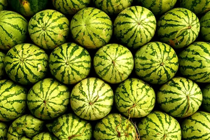 10 Ffeithiau Adnewyddu Am Watermelon 1696_1