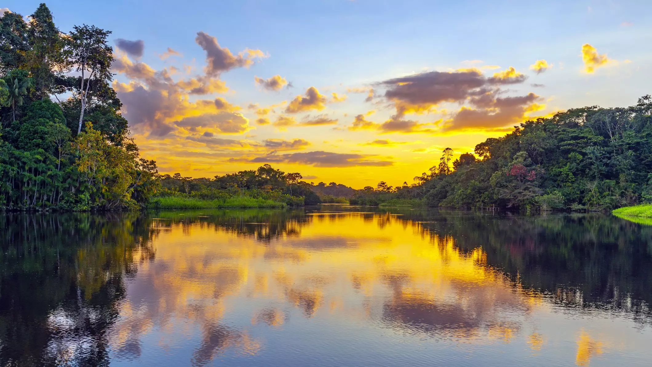 Talaga Bang Gumagawa ang Amazon Rainforest ng 20 Porsiyento ng Oxygen ng Mundo?