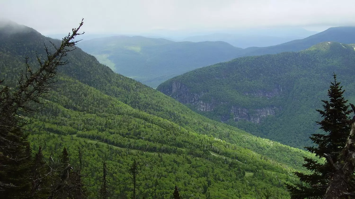 Bigfoot va Yetidan oldin Vermontning afsonaviy vampahufusi bo'lgan