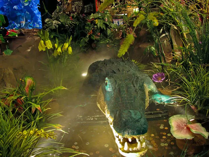 Rainforest Cafe-ri buruz jakingo ez dituzun 11 gauza 19227_4