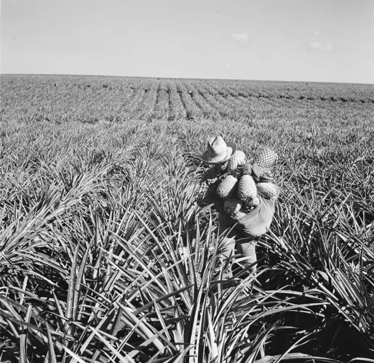 L-iżgħar Belt f'kull wieħed mill-50 Stat 1993_7