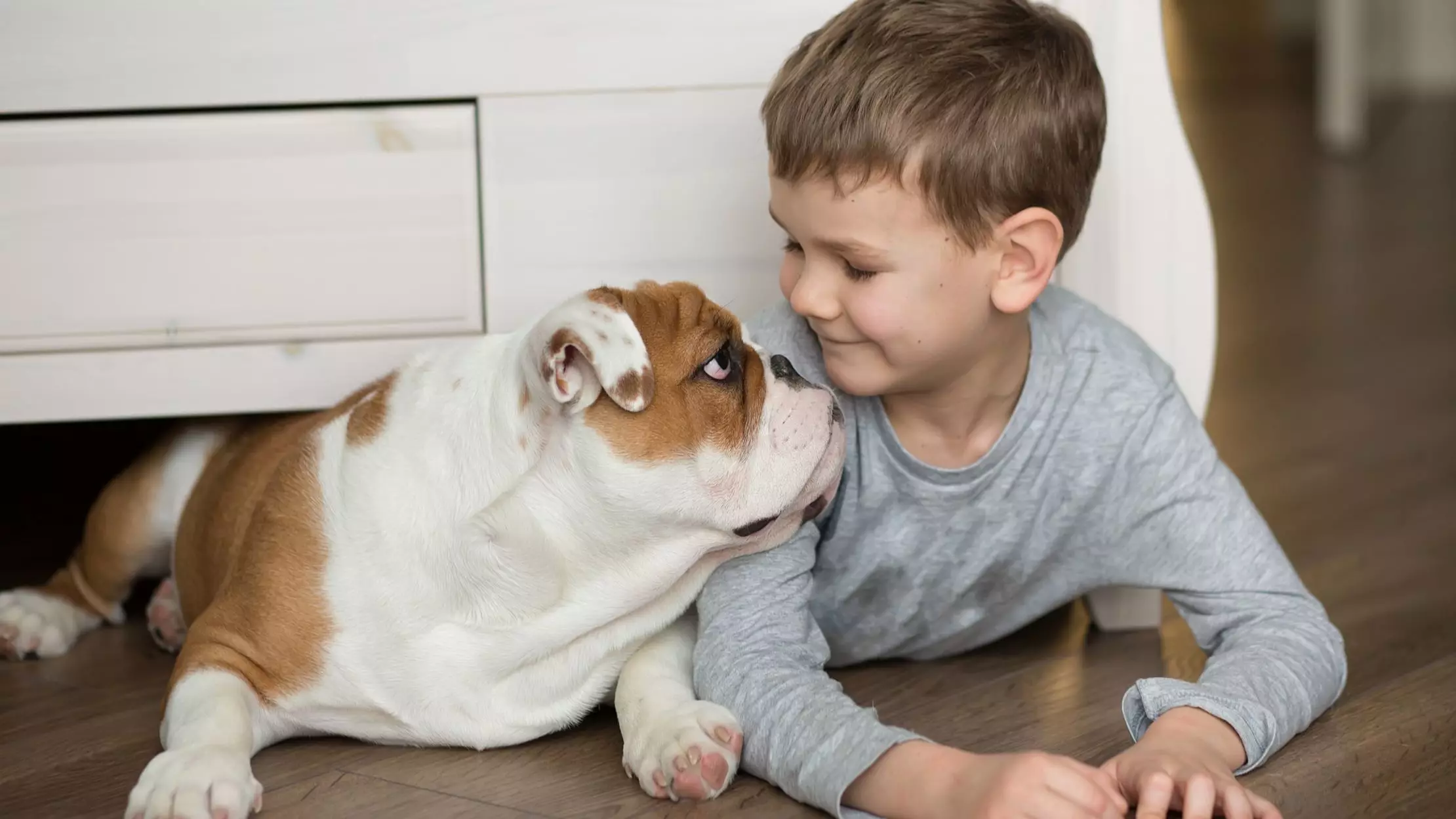 Er en hunds munn virkelig renere enn et menneskes?