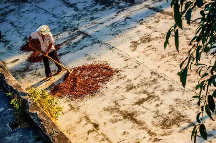 8 Balik Pamandangan Rahasia Coklat-Makers 22152_2