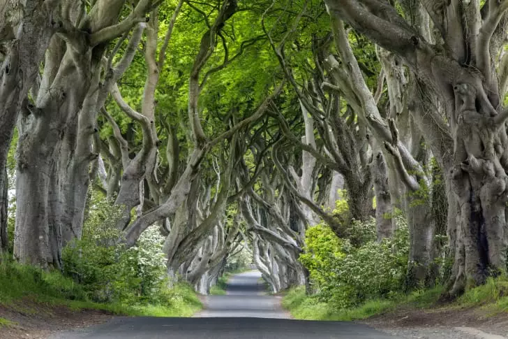 13 recorridos temáticos de Game of Thrones que puedes realizar alrededor del mundo 22369_8