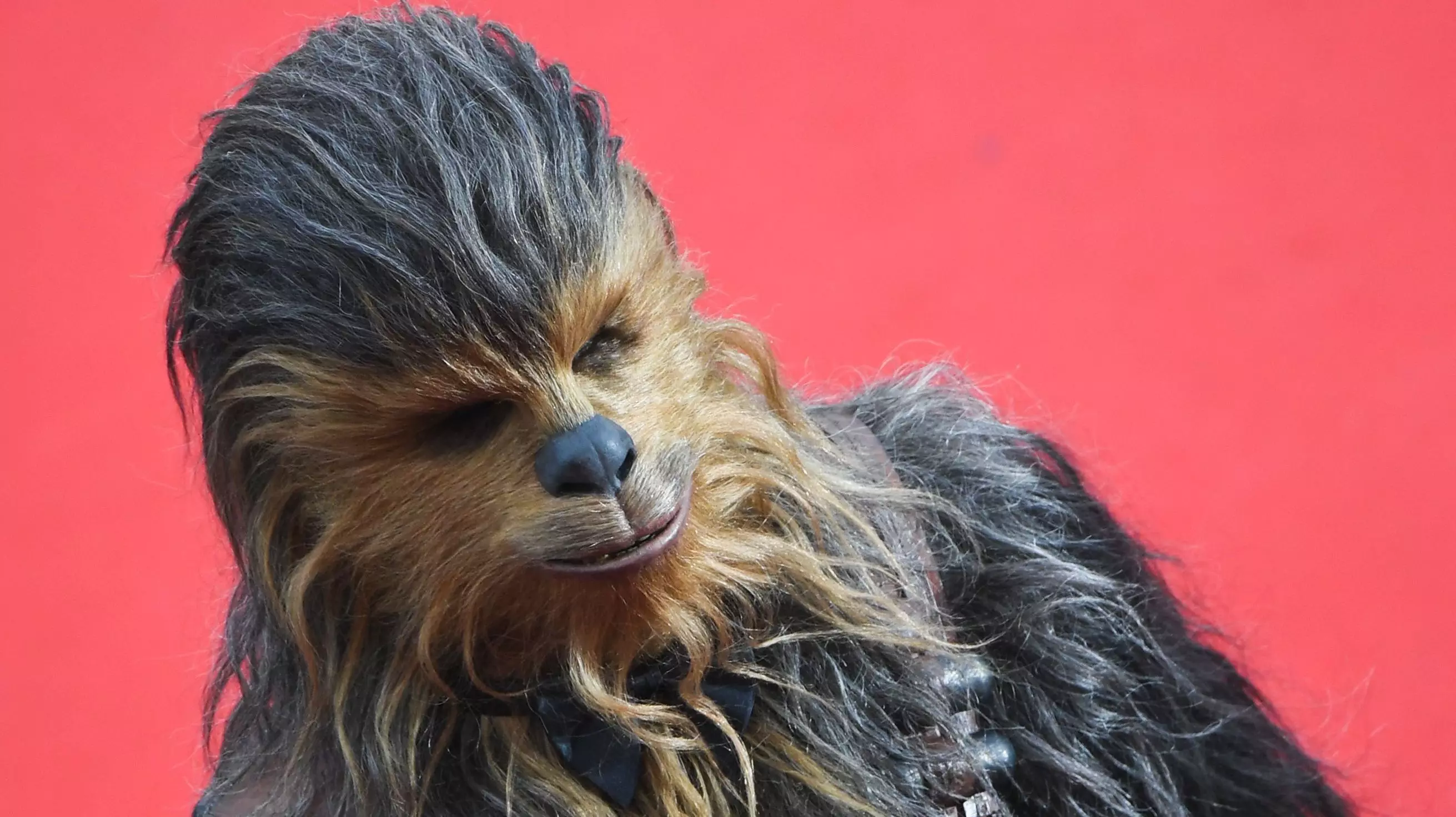 15 cousas que quizais non sabas sobre Chewbacca