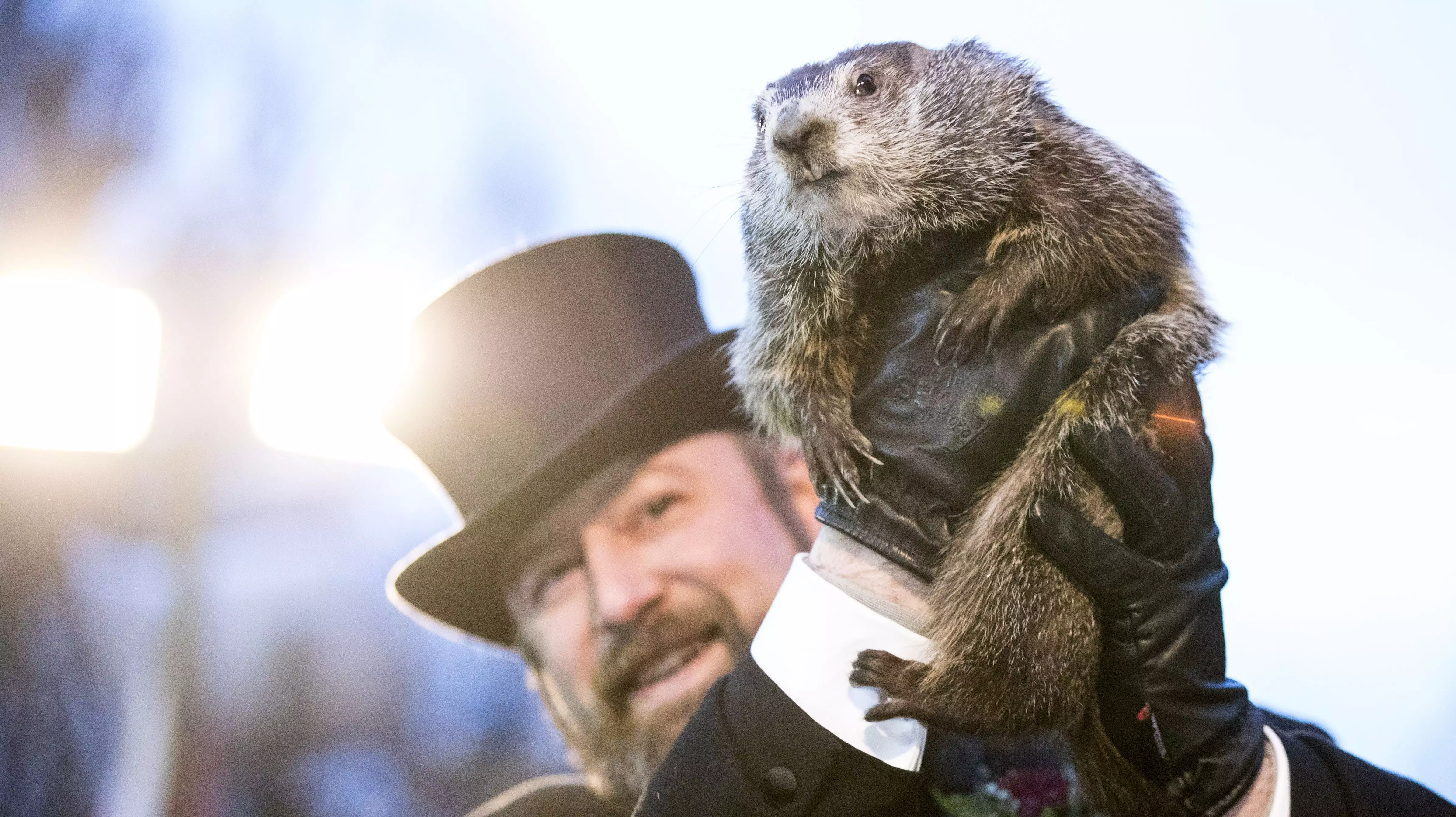 Naha Punxsutawney urang Groundhog Dingaranan Phil