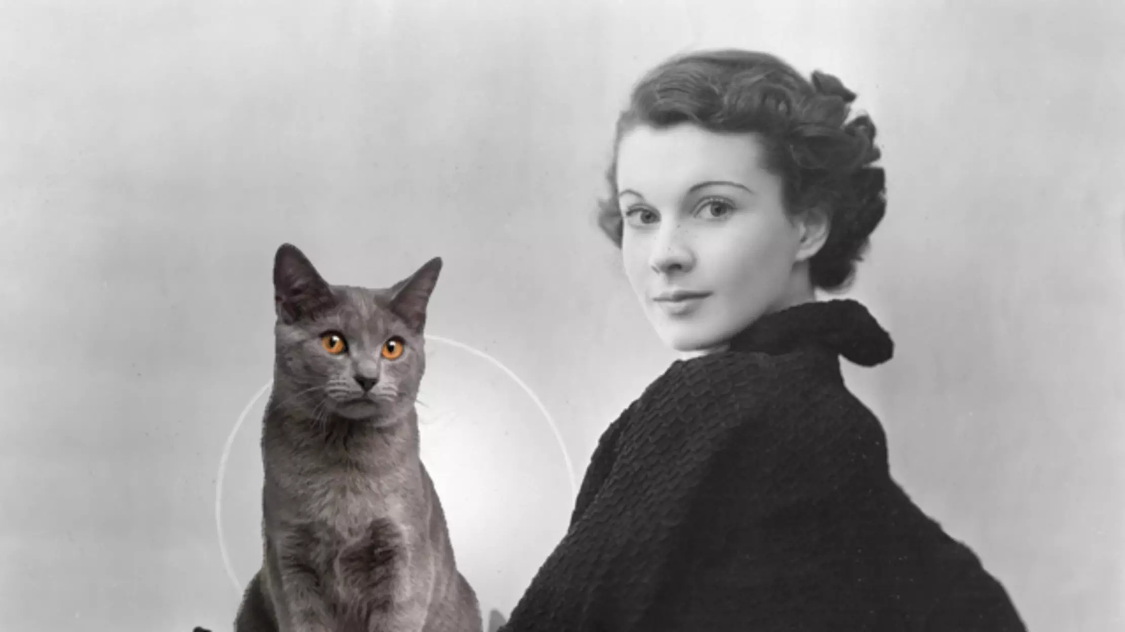 8 delle più grandi donne feline della storia