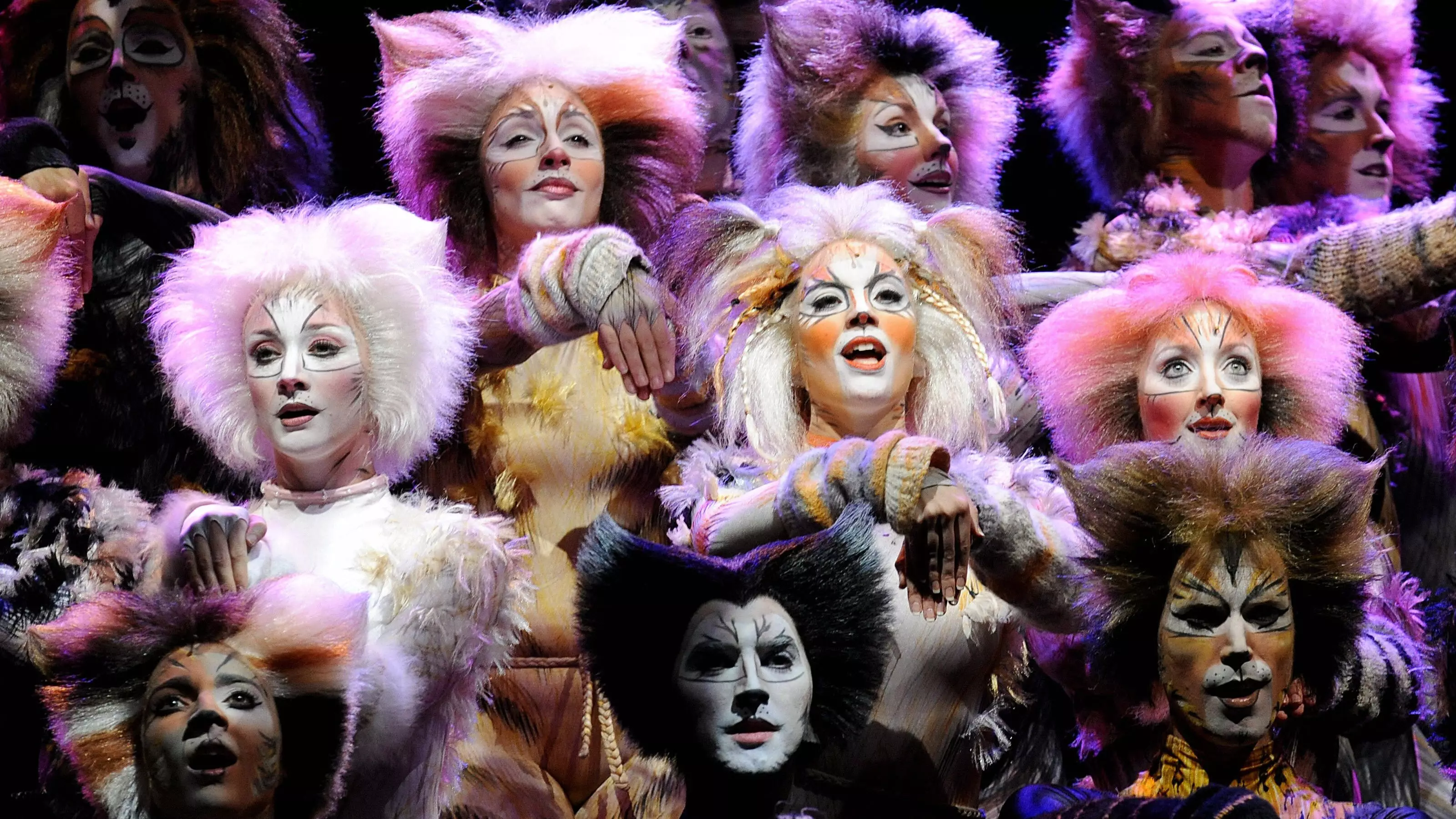 13 Memorable Fakten Iwwer Cats the Musical