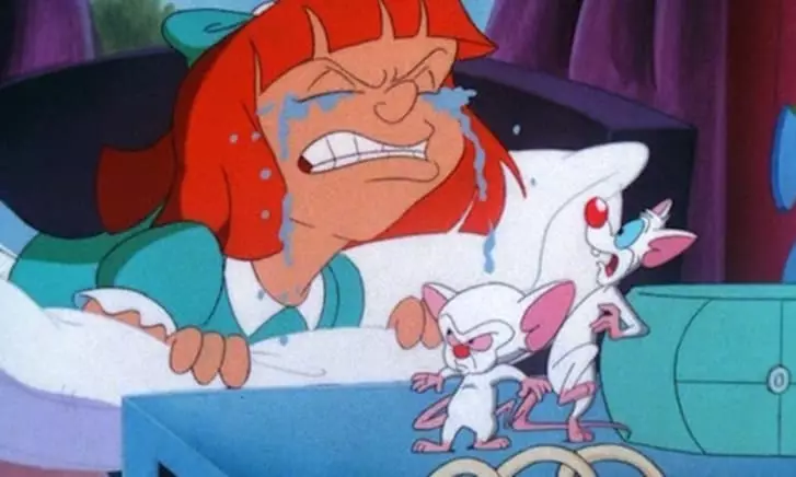 13 datos divertidos sobre 'Pinky and the Brain' 24107_1