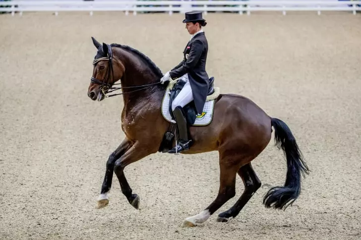 Dressage