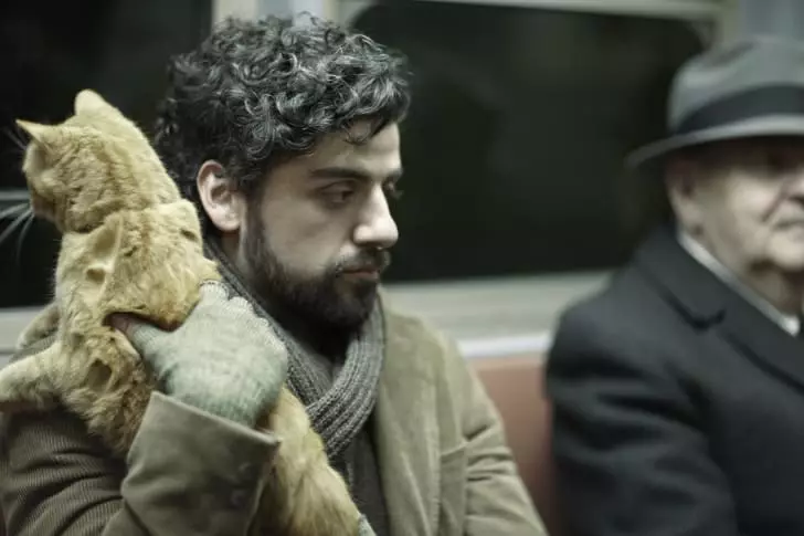 שאלות ותשובות: Dawn Barkan, מאמן חיות ראשי ב-Inside Llewyn Davis 27655_2