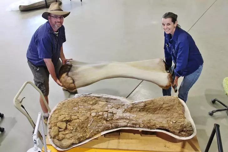 Nueva especie de saurópodo es el dinosaurio más grande de Australia hasta la fecha 2823_2