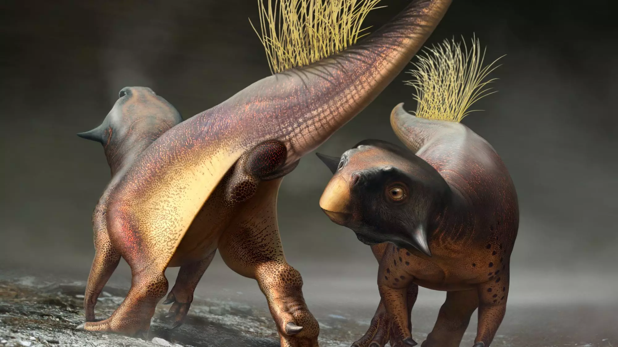 Els paleontòlegs han reconstruït el forat d'un dinosaure