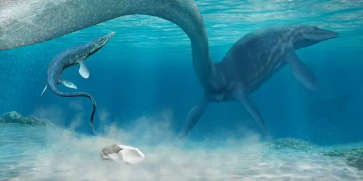 Antarktika's earste fossile aai koe in mosasaur west hawwe 2829_3