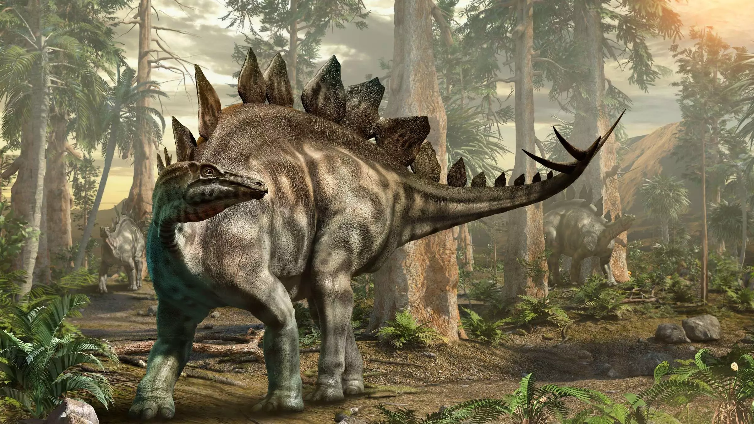 Achọpụtara egwu Stegosaurus