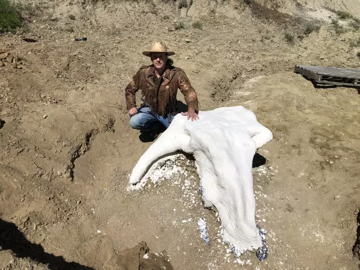 College Student fënnt e 65 Millioune Joer alen Triceratops Schädel wärend der Paleontologie Dig an North Dakota 2835_1