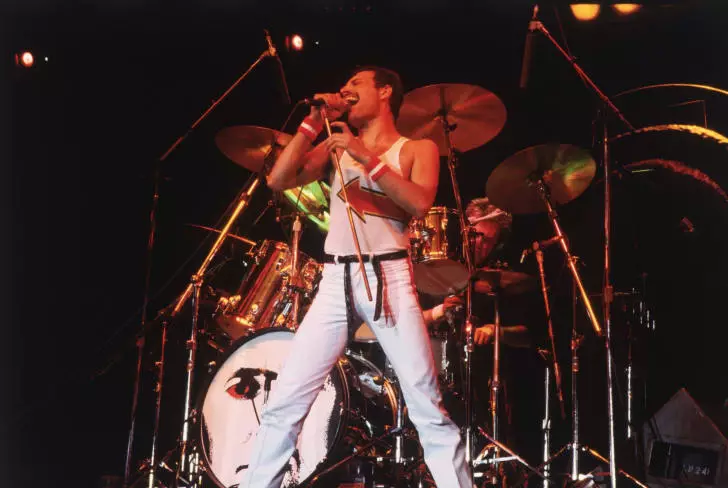 32 Fakte Befasuese të Freddie Mercury 3031_2