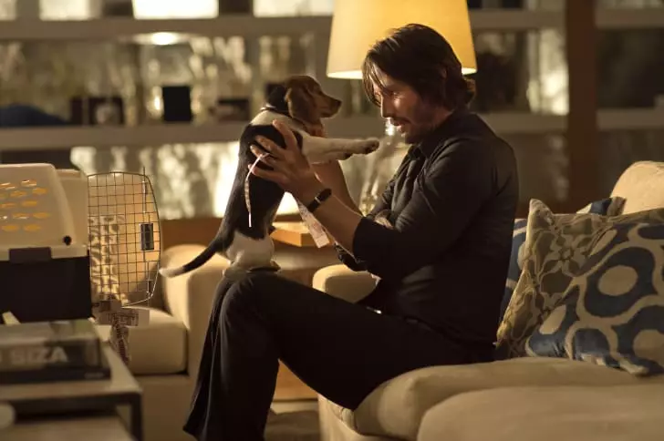 Sarimihetsika 'John Wick' Facts 3036_1