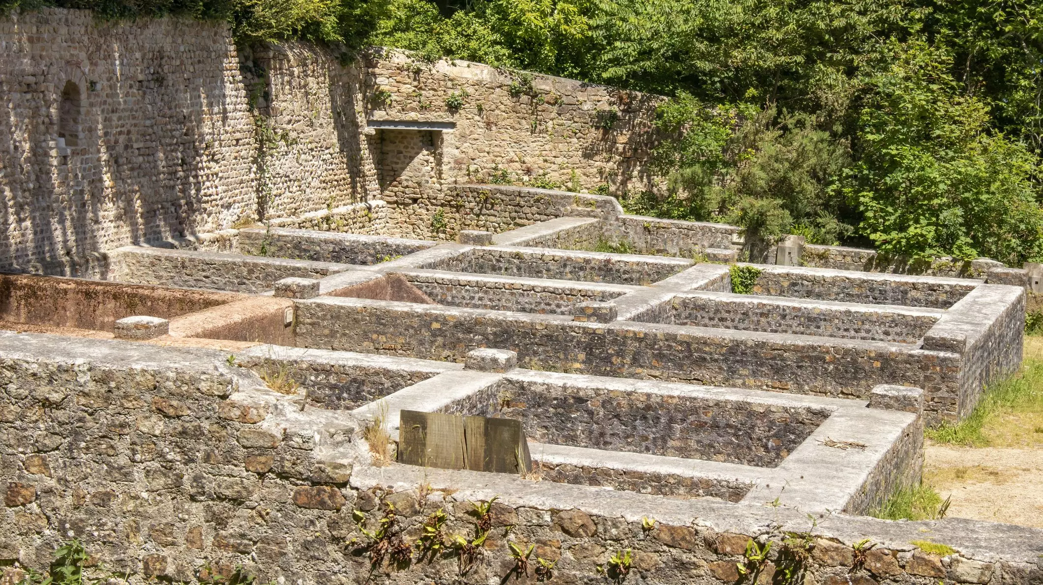 Garum'un Funky ve Balıklı Tarihi