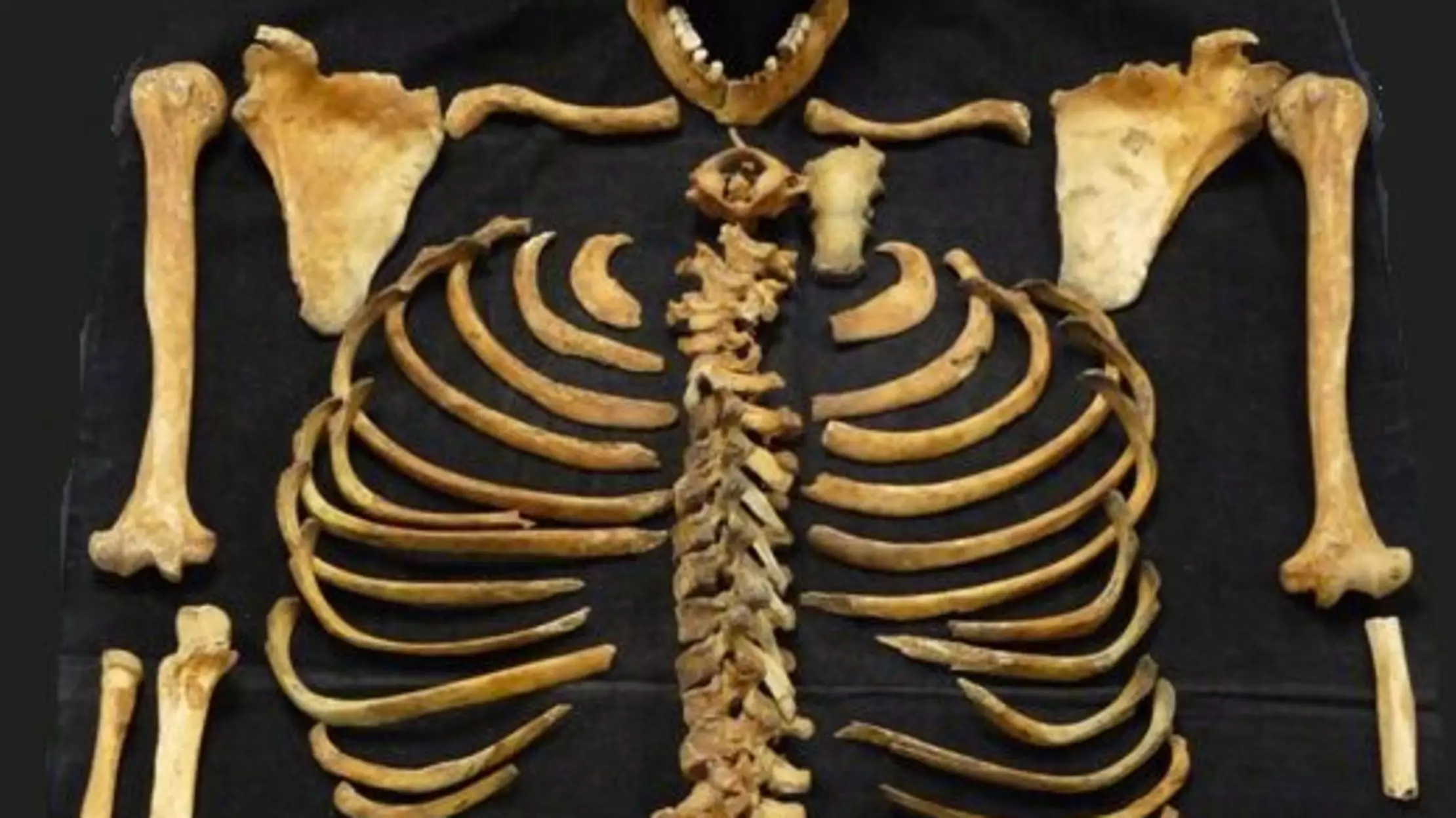 Skeleti i një burri britanik të shekullit të 19-të zbulon se kishte veshur një korse