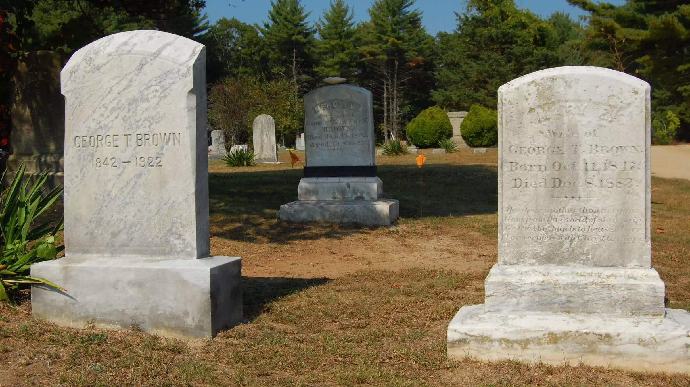 Die vreemde geskiedenis van die New England Vampire Panic