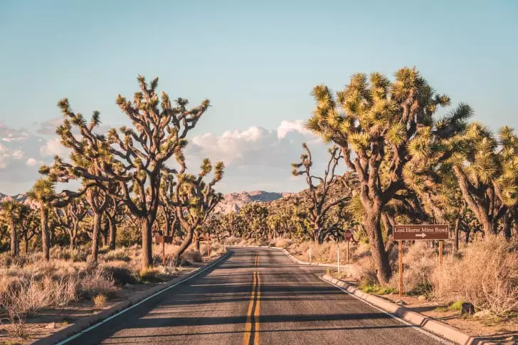 10 feiten over Joshua Tree National Park 3648_1