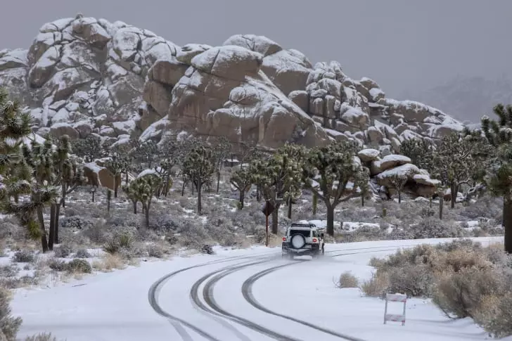 10 feitos sobre o Parque Nacional Joshua Tree 3648_2