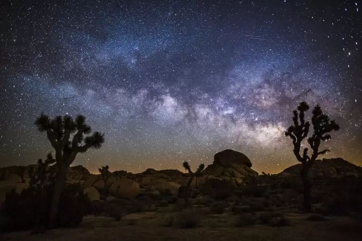 10 feiten over Joshua Tree National Park 3648_3