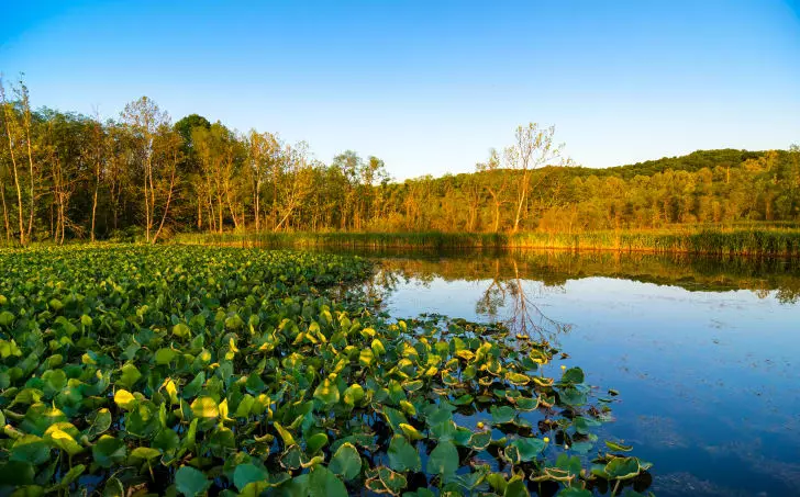 Cuyahoga Valley Parke Nazionalari buruzko 10 datu 3649_2