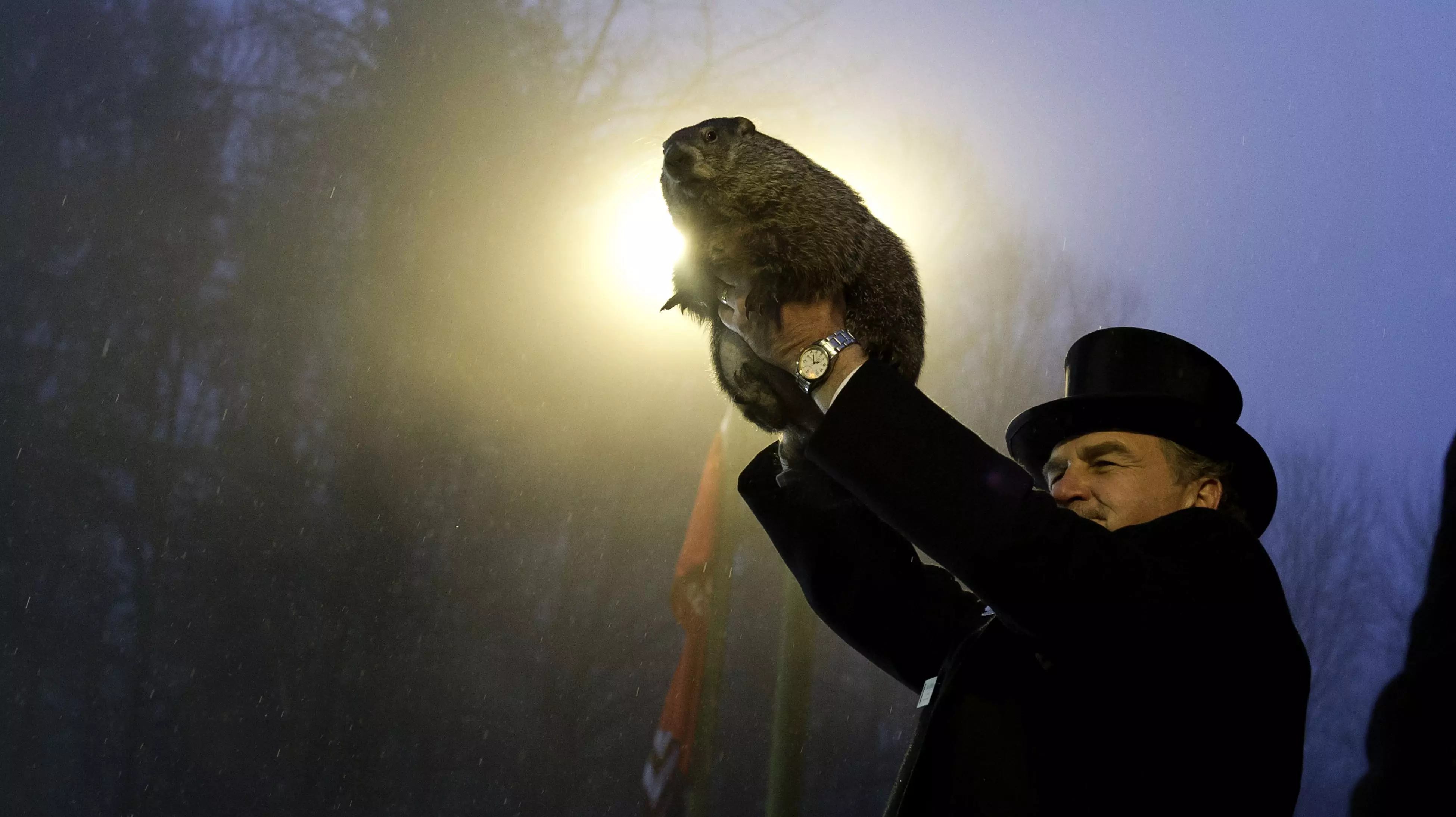 11 Далелҳои Punxsutawney Phil барои Рӯзи Groundhog