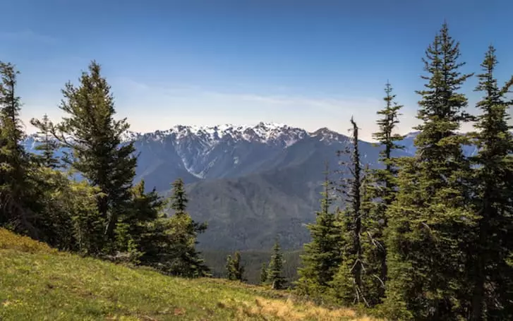 Amaqiniso ayi-10 Nge-Olympic National Park 4134_2