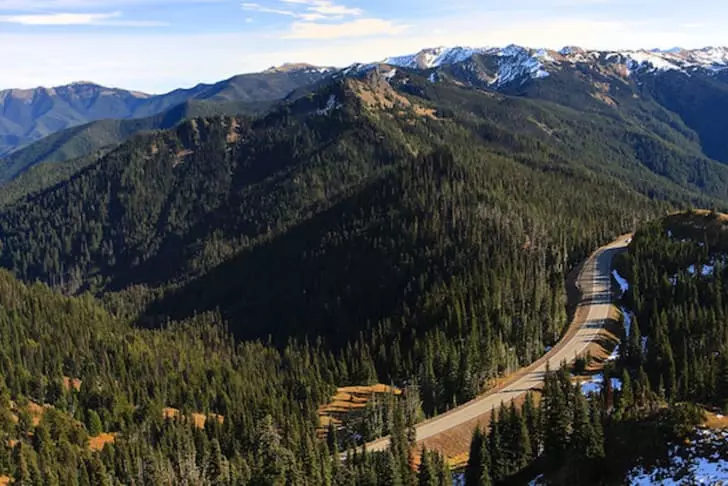 Amaqiniso ayi-10 Nge-Olympic National Park 4134_4