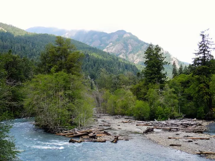 Amaqiniso ayi-10 Nge-Olympic National Park 4134_6