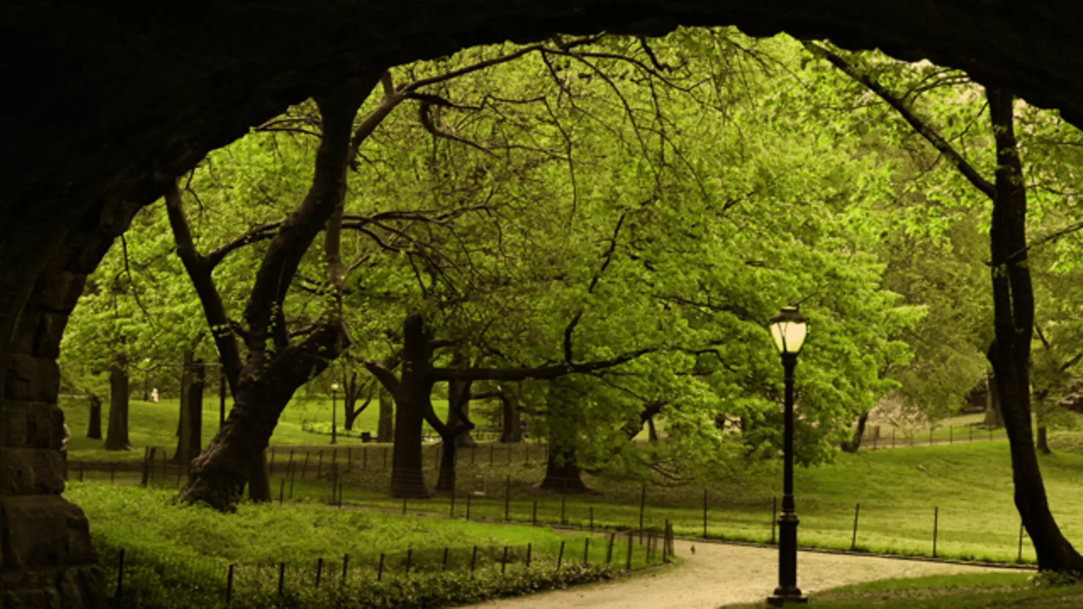 Ламповите стълбове на Central Park имат скрит трик, който да ви помогне да се ориентирате