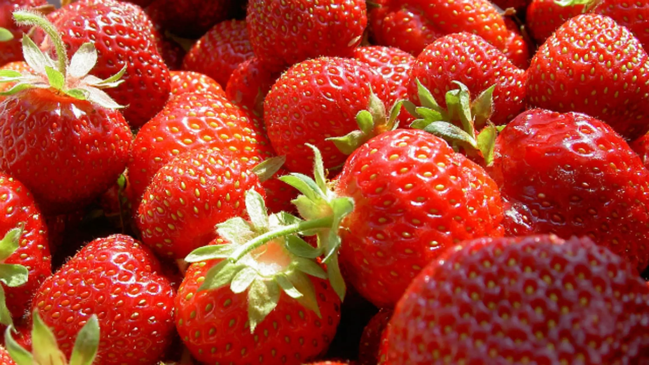 7 datos dulces sobre las fresas